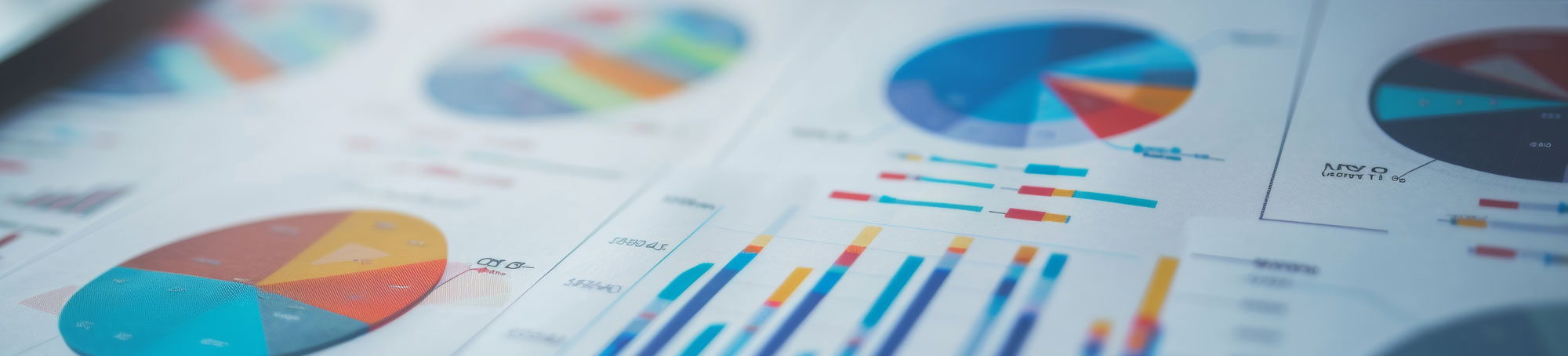 Reporting - ShredMetrics